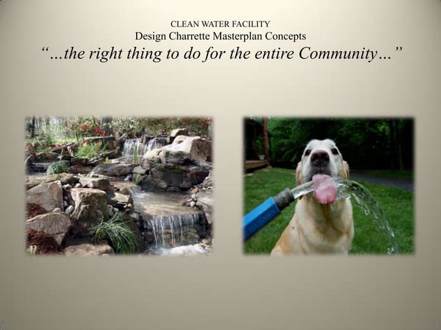 Design charrette council presentation | PPT