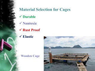 Design & construction of cage culture system | PPTX