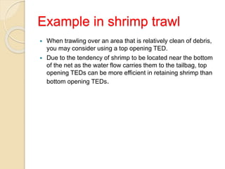 TED Design & Construction. | PPTX