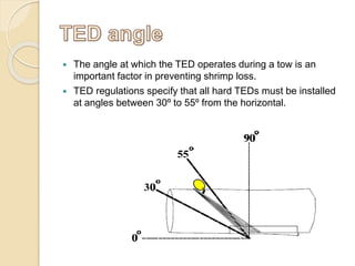 TED Design & Construction. | PPTX