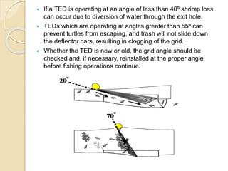 TED Design & Construction. | PPTX