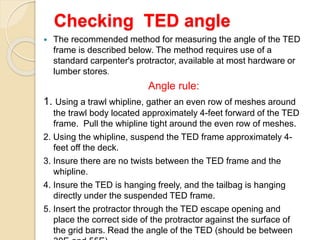 TED Design & Construction. | PPTX