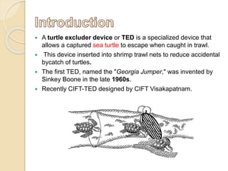 TED Design & Construction. | PPTX