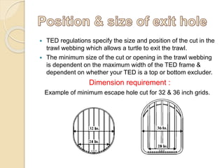 TED Design & Construction. | PPTX