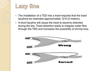 TED Design & Construction. | PPTX