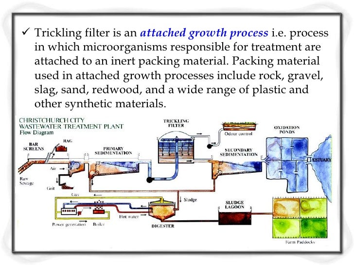 Difference Between Trickling Filter And Activated Sludge