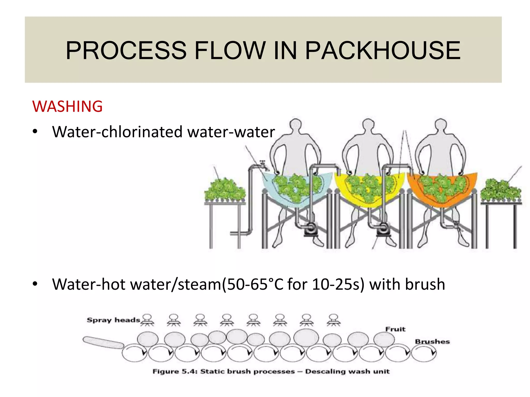 Design & development of Packhouses | PPTX
