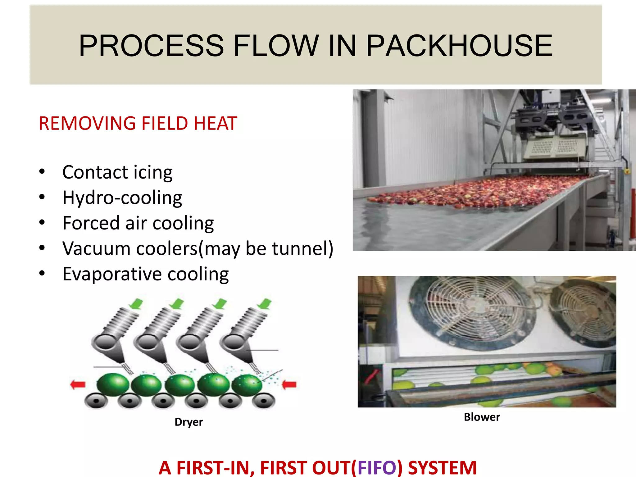 Design & development of Packhouses | PPTX