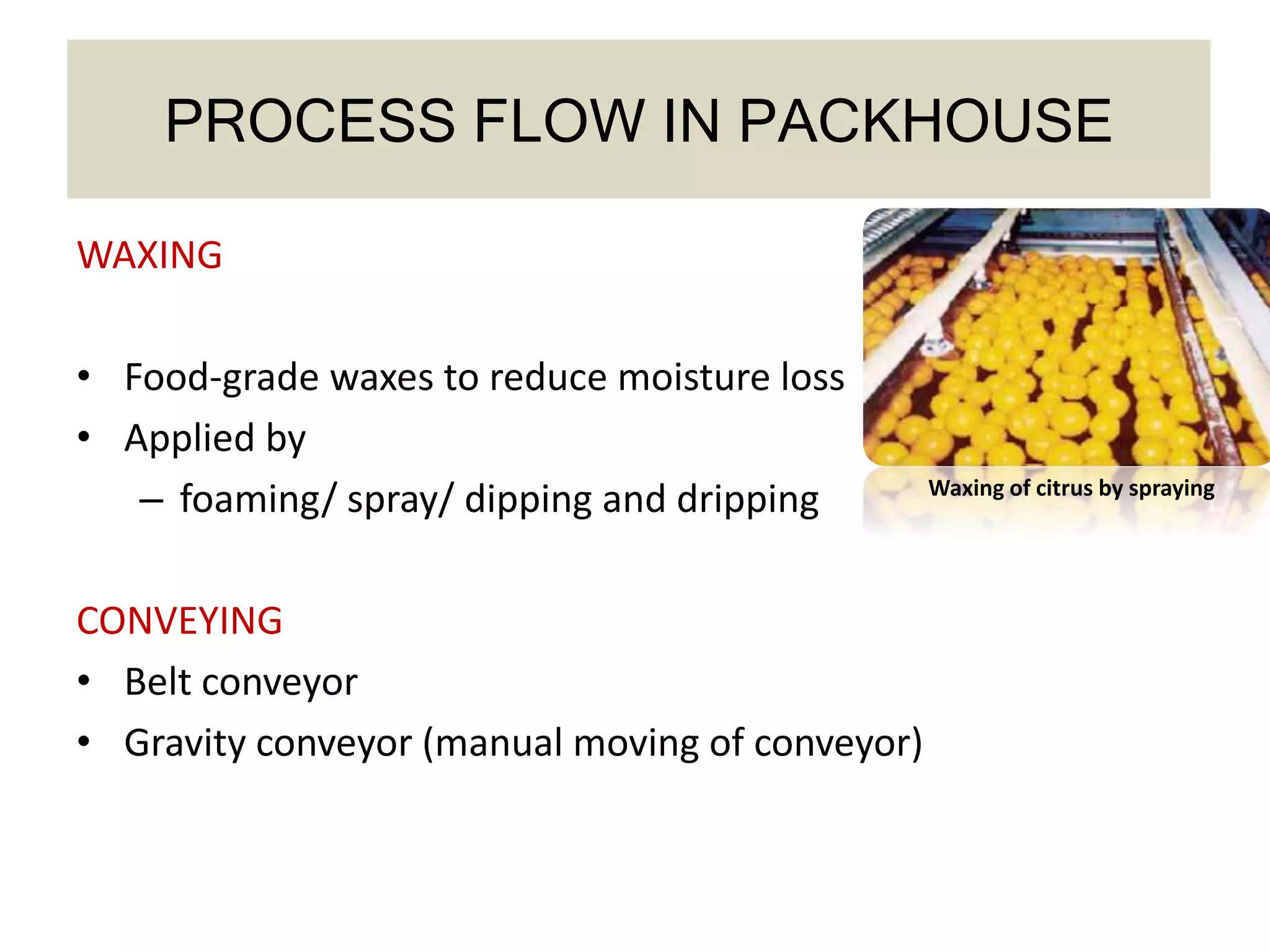 Design & development of Packhouses | PPTX