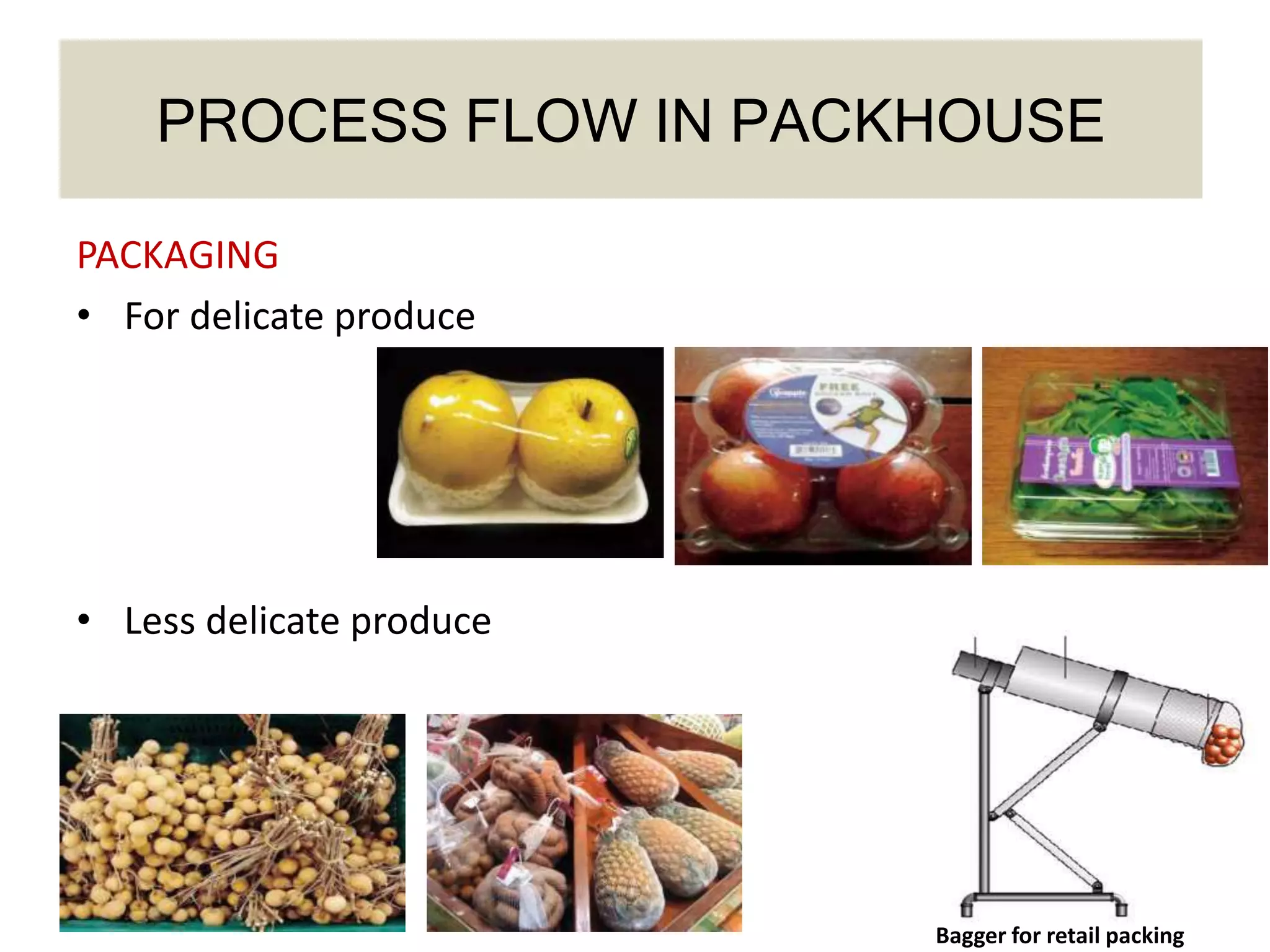 Design & development of Packhouses | PPTX