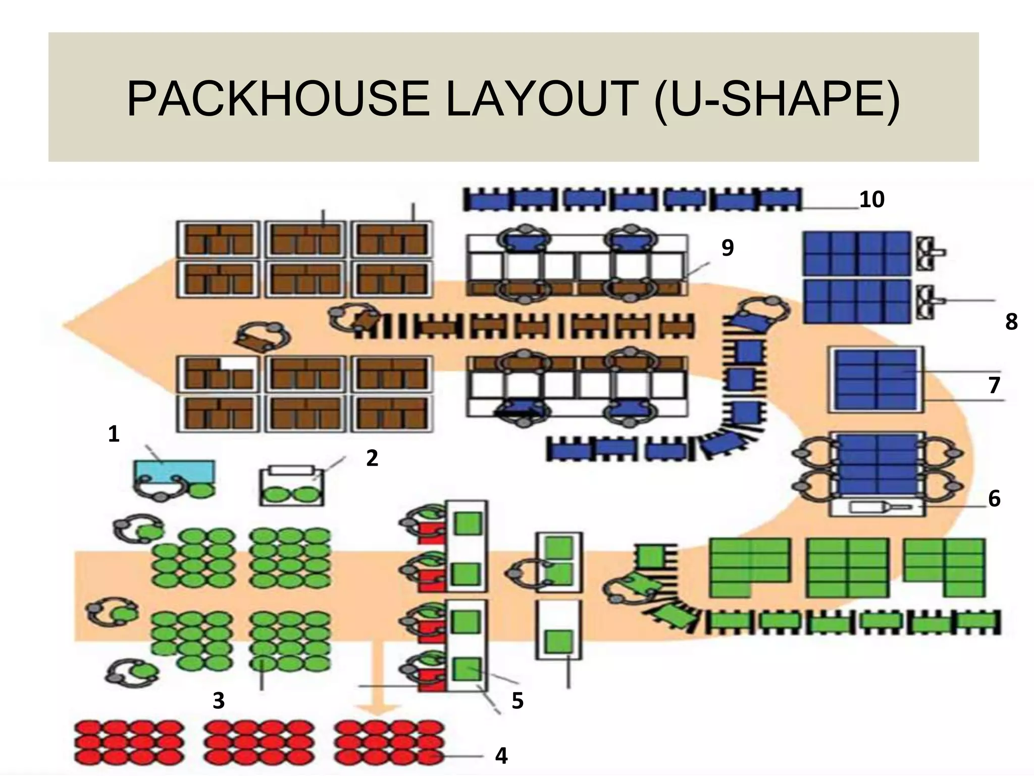 Design & development of Packhouses | PPTX