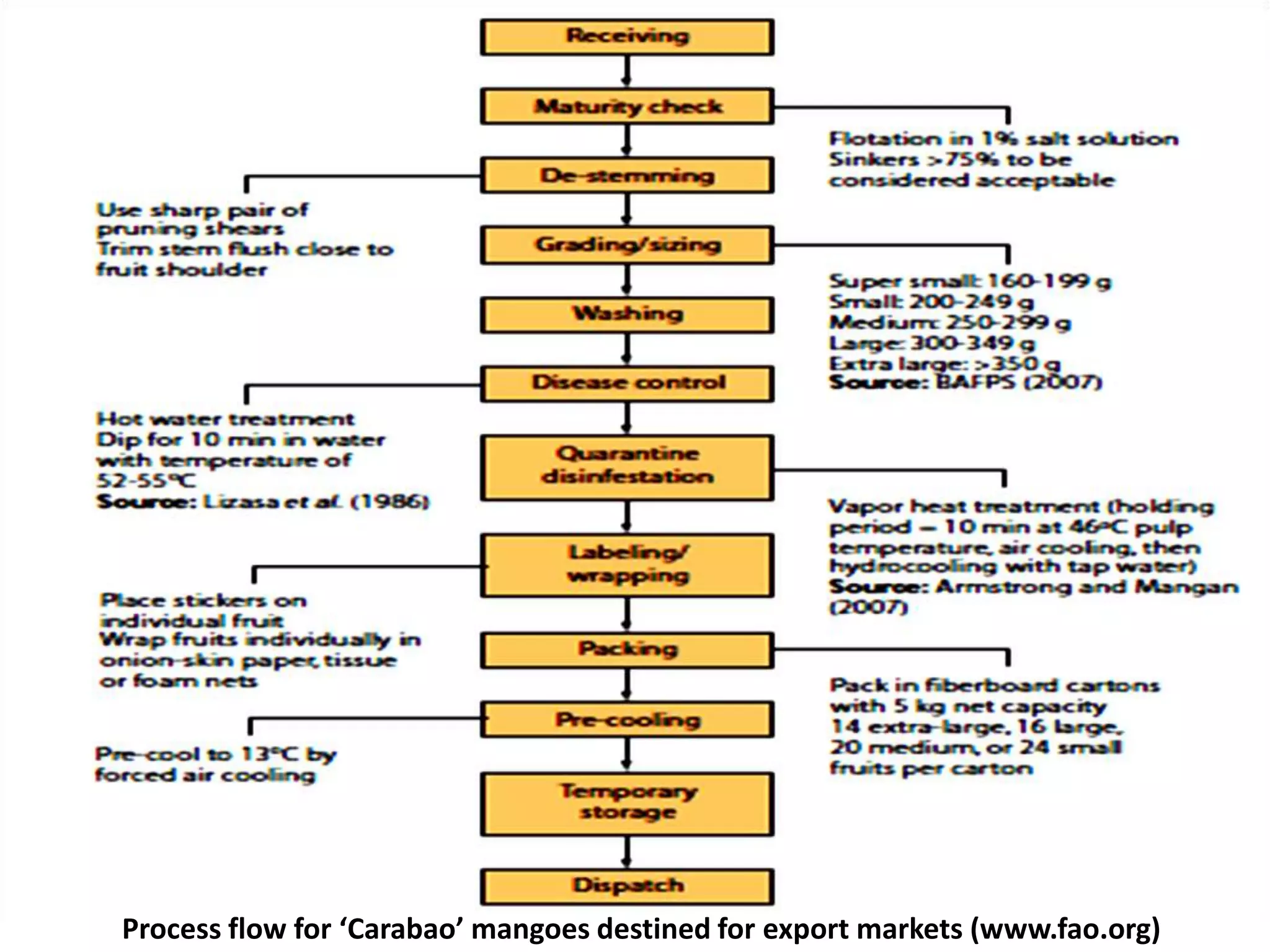 Design & development of Packhouses | PPTX