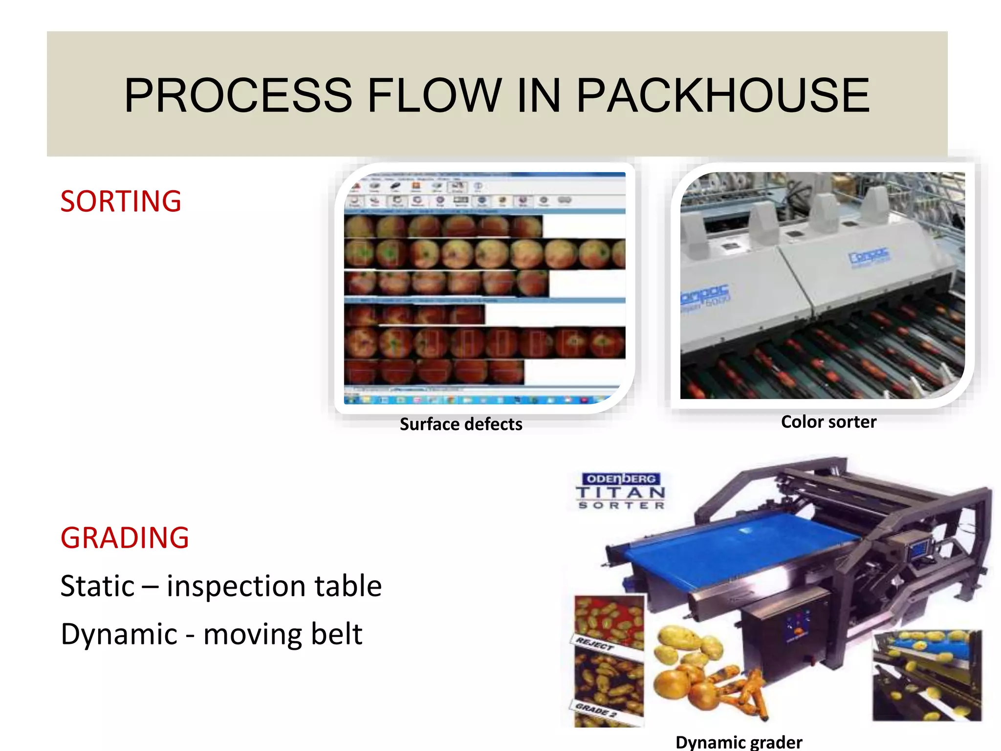 Design & development of Packhouses | PPTX