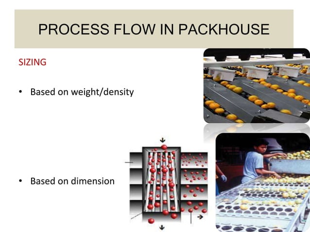 Design & development of Packhouses | PPTX