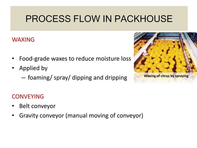 Design & development of Packhouses | PPTX