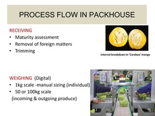 Design & development of Packhouses | PPTX