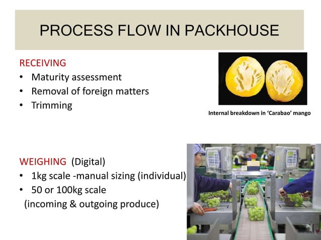 Design & development of Packhouses | PPTX