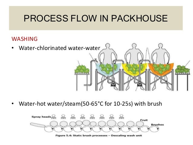 Design & development of Packhouses