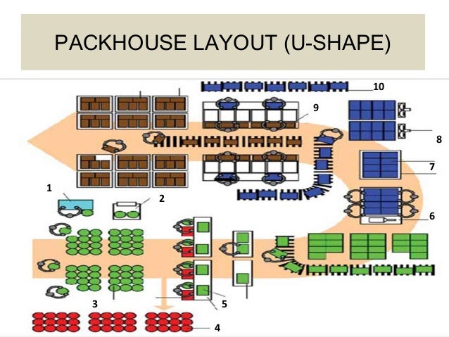 Design & development of Packhouses