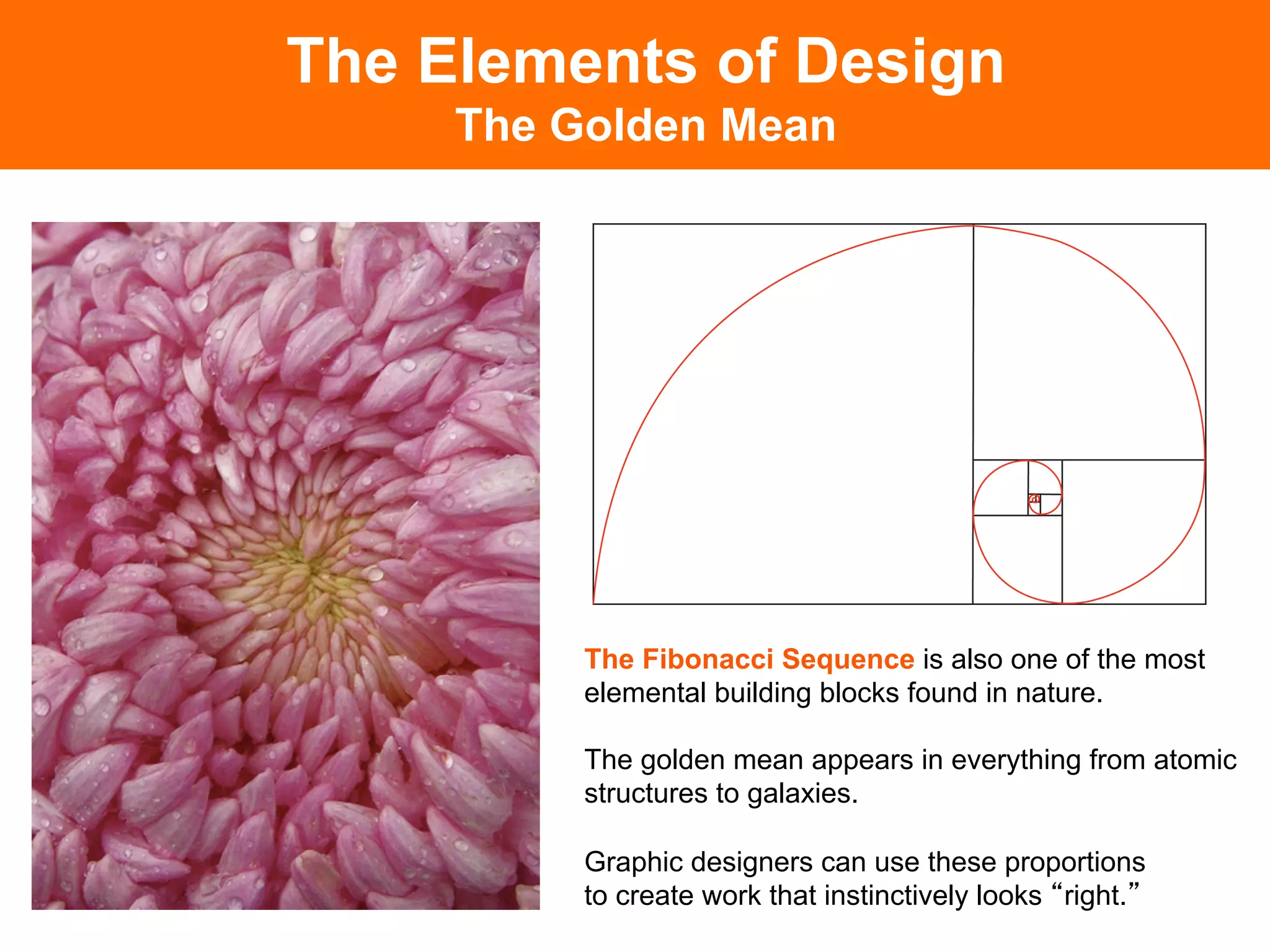 Elements of Design | PDF