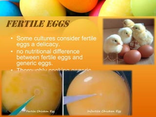 Designer and specialty eggs | PPTX | Nutrition | Healthy Living