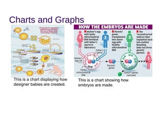 How Babies Are Made Diagram