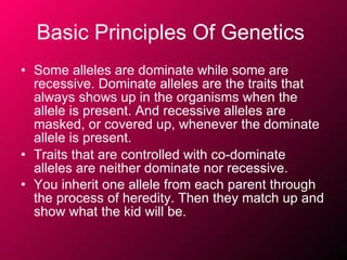 Designer babies | PPT