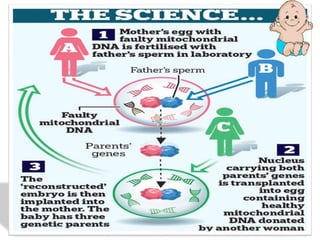 Designer Babies Process