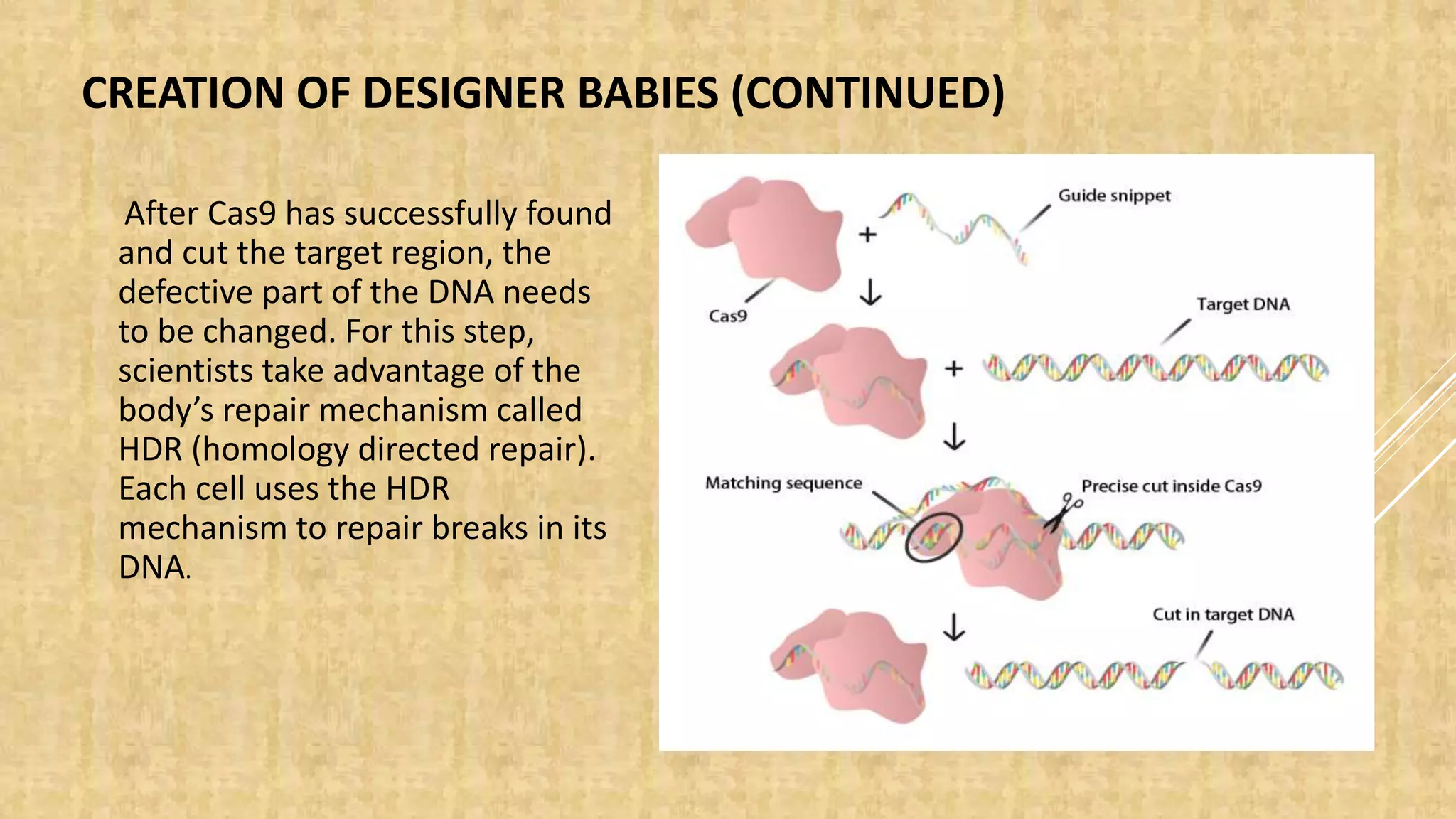 Designer babies | PPTX
