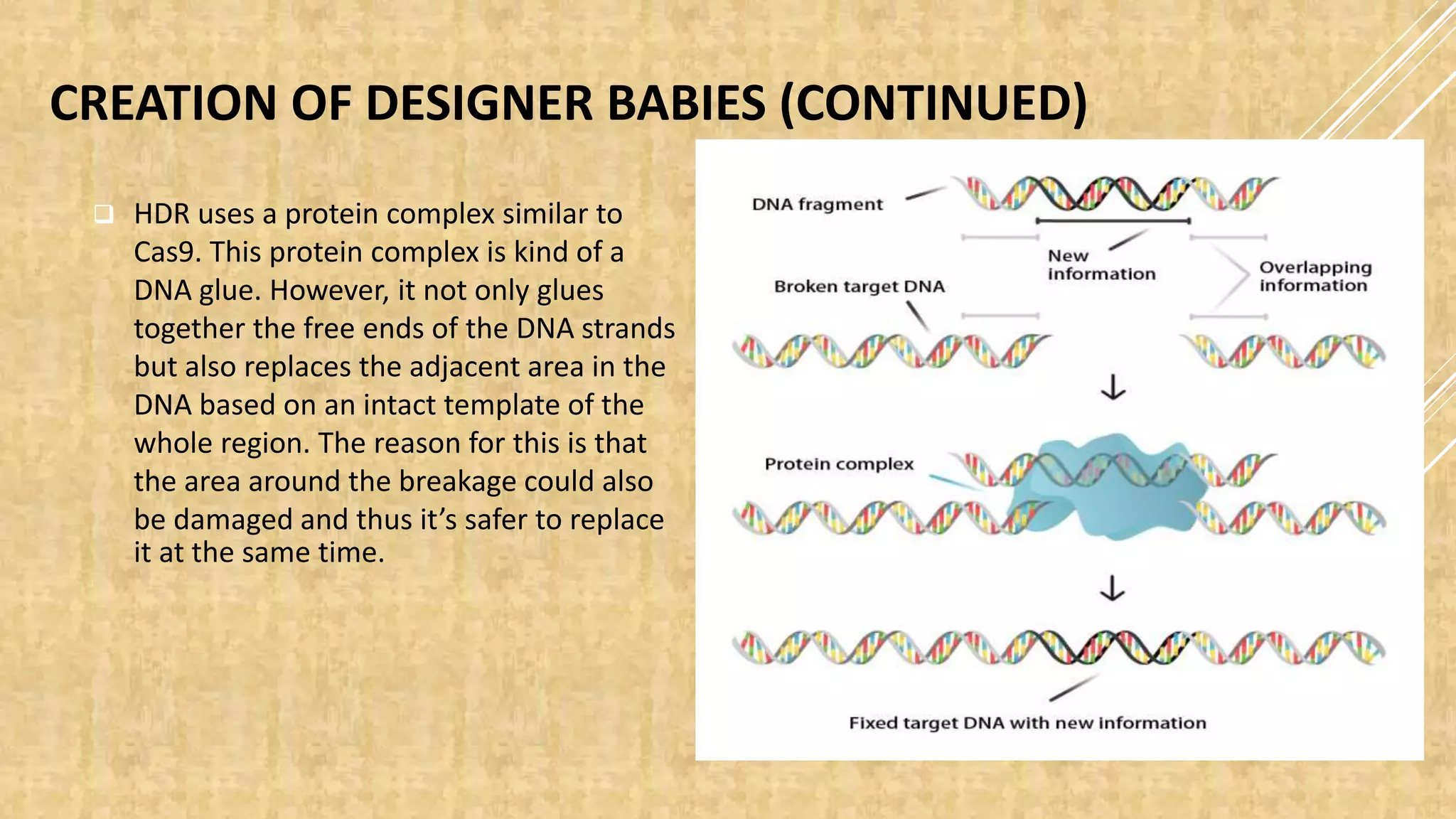 Designer babies | PPTX