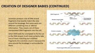Designer babies | PPTX