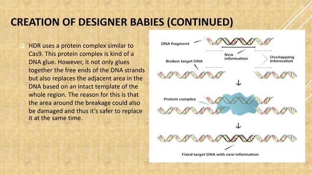 Designer babies | PPTX | Pregnancy | Reproductive Health