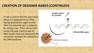 Designer Babies Process