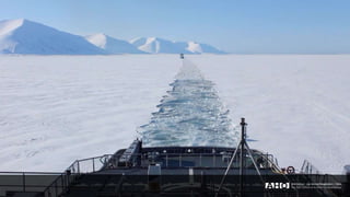 DMD 2019 - Design for maritime augmented reality | PPTX
