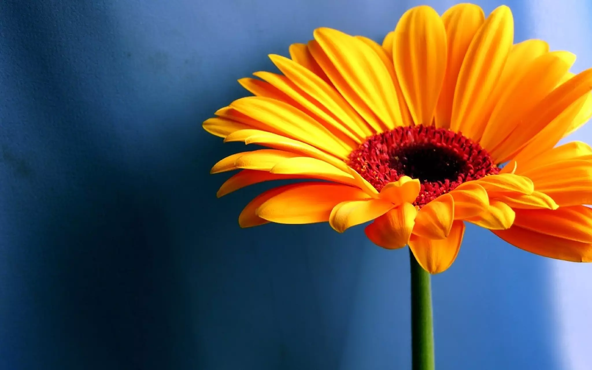 Design for TEDx events | PPT