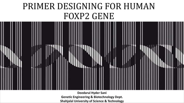Designing of-primer-for-human-foxp2-gene | PPT
