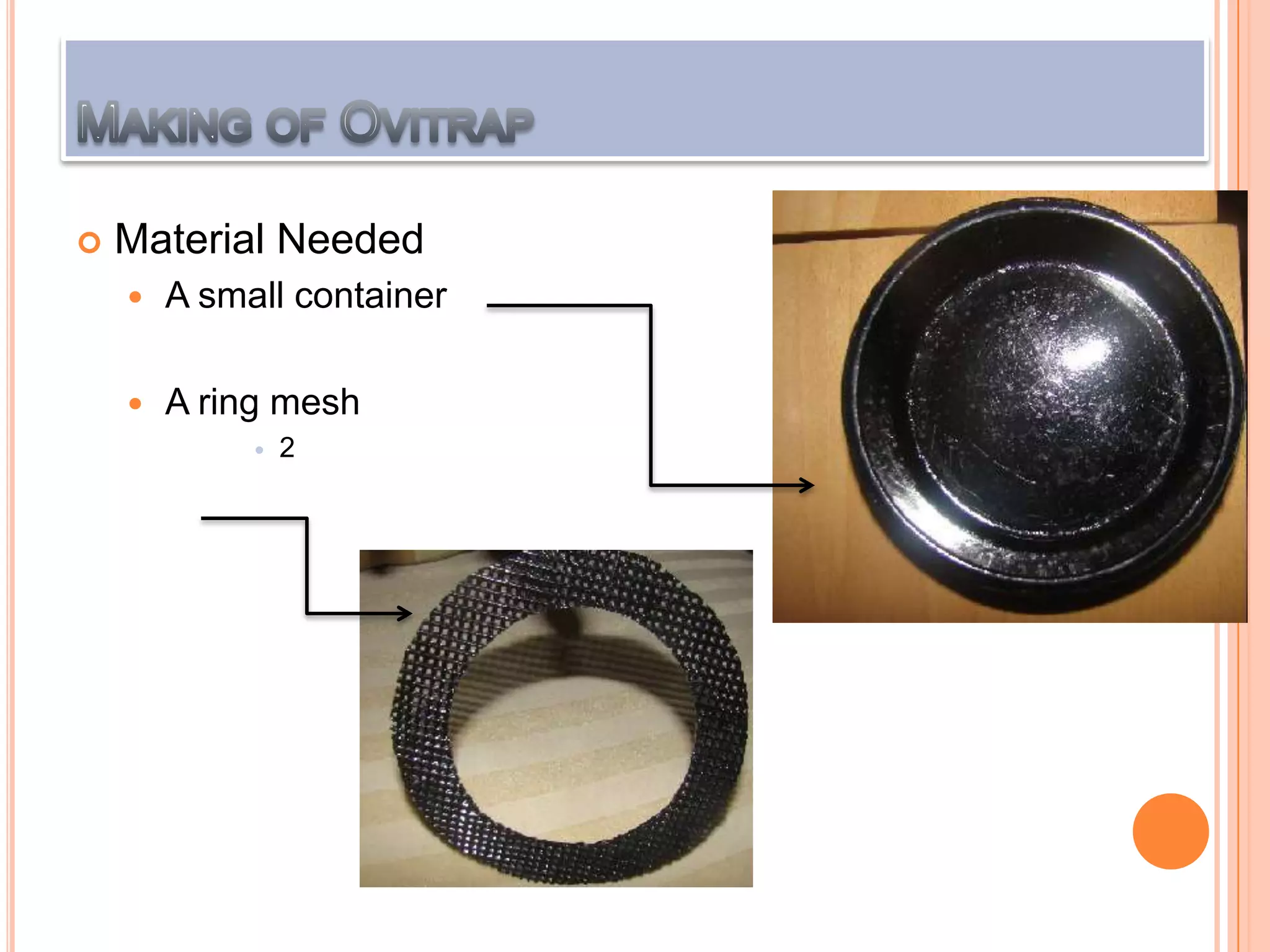 Designing Ovitrap | PPTX