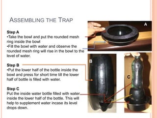 Designing Ovitrap | PPTX