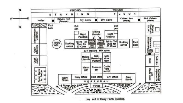DESIGNING AND CONSTRUCTION OF LIVESTOCK BUILDING.pptx | Agriculture ...