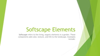 Designing and Layout Terms of the darden .pptx