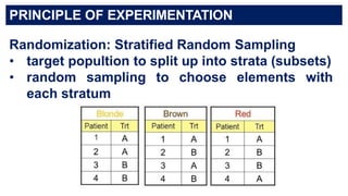 Designing An Experiment.pptx