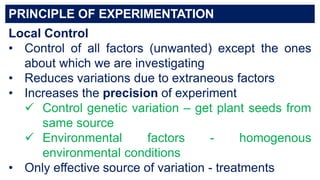 Designing An Experiment.pptx