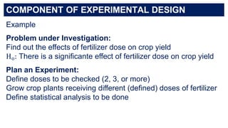 Designing An Experiment.pptx
