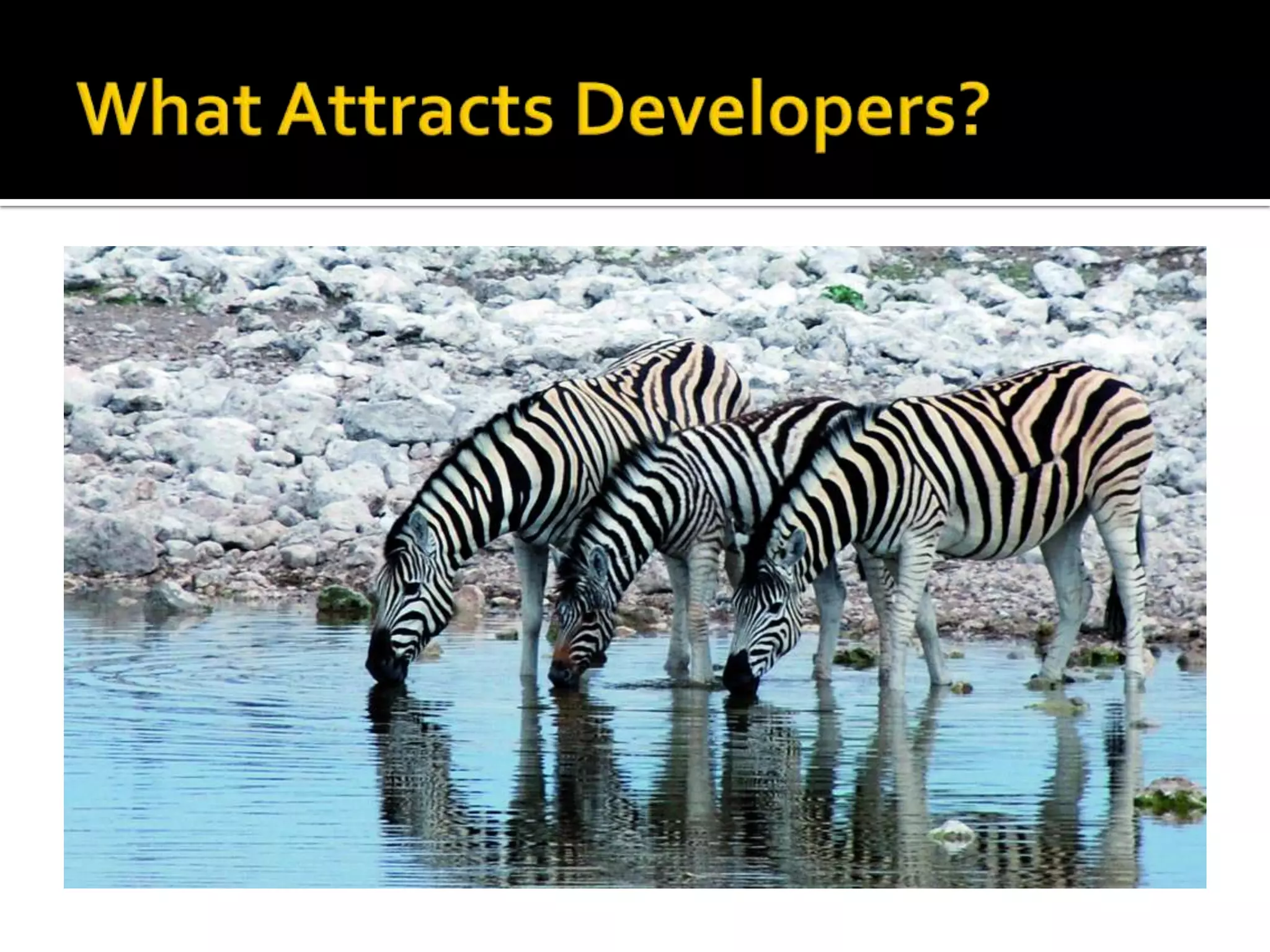 Designing for developers | PPT