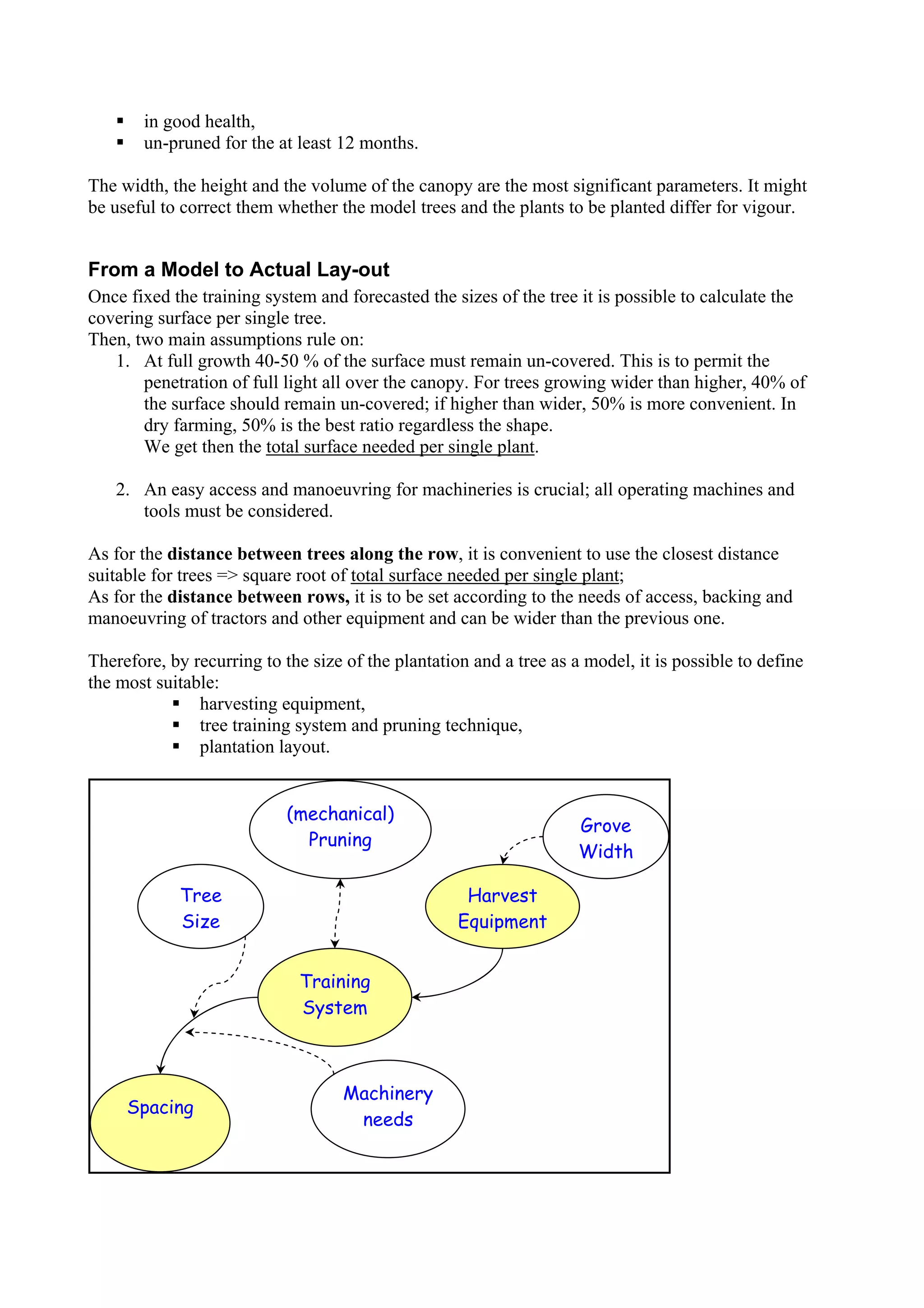 Designing The Olive Grove | PDF