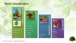 Designing with plants | PDF | Gardening | Home & Garden