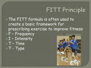 Designing your training programme | PPTX