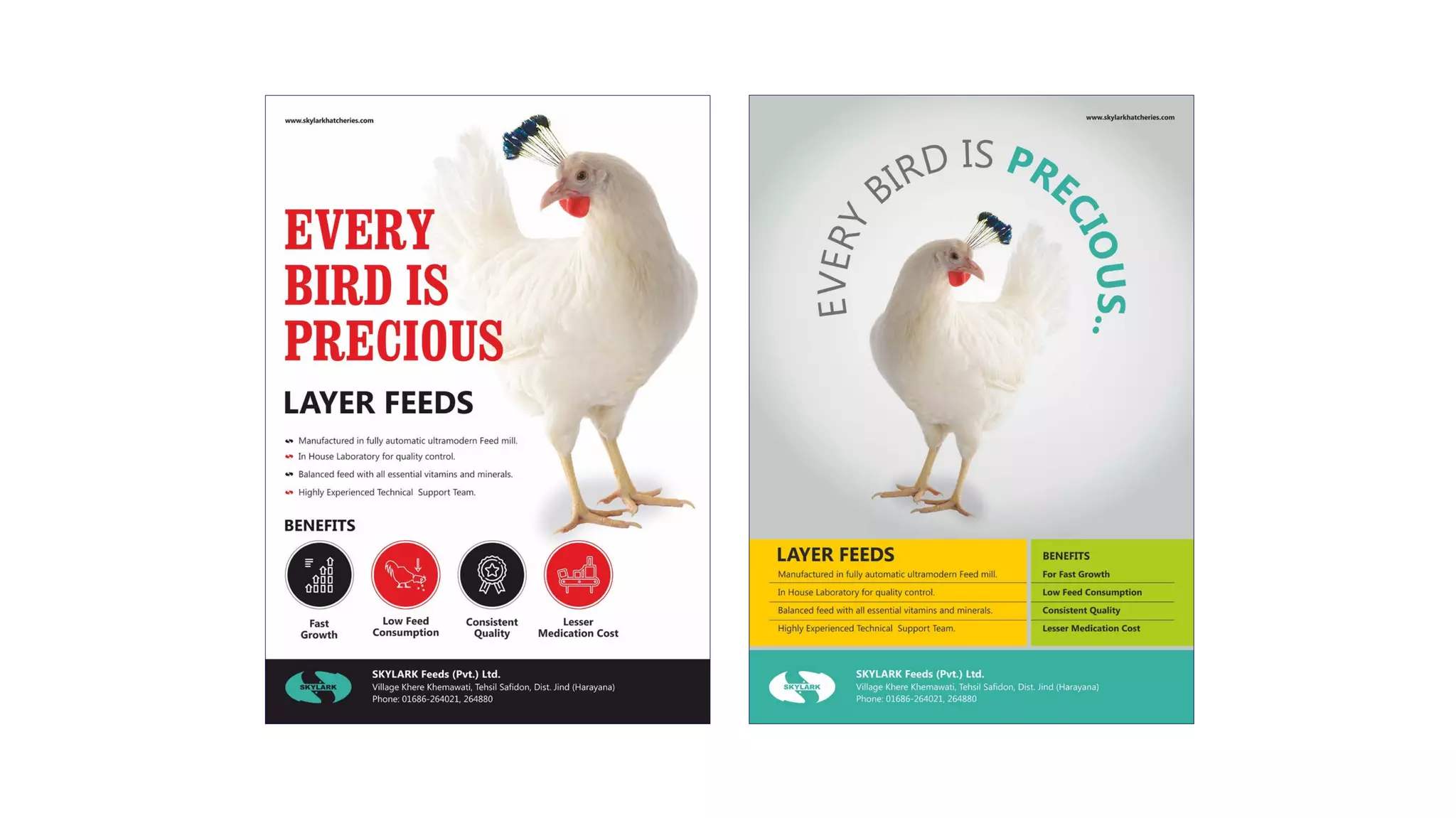 DesignLab Poultry Presentation | PDF