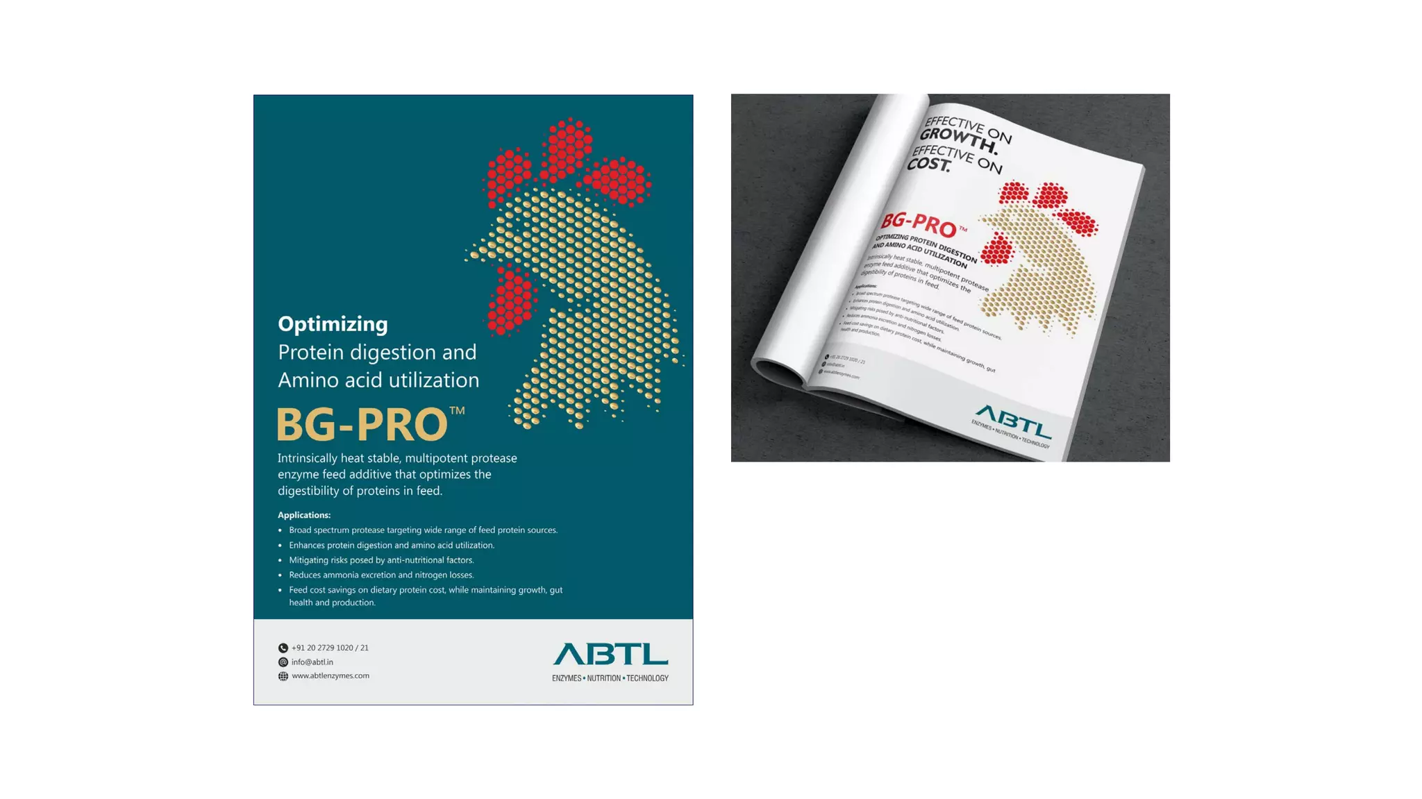 DesignLab Poultry Presentation | PDF