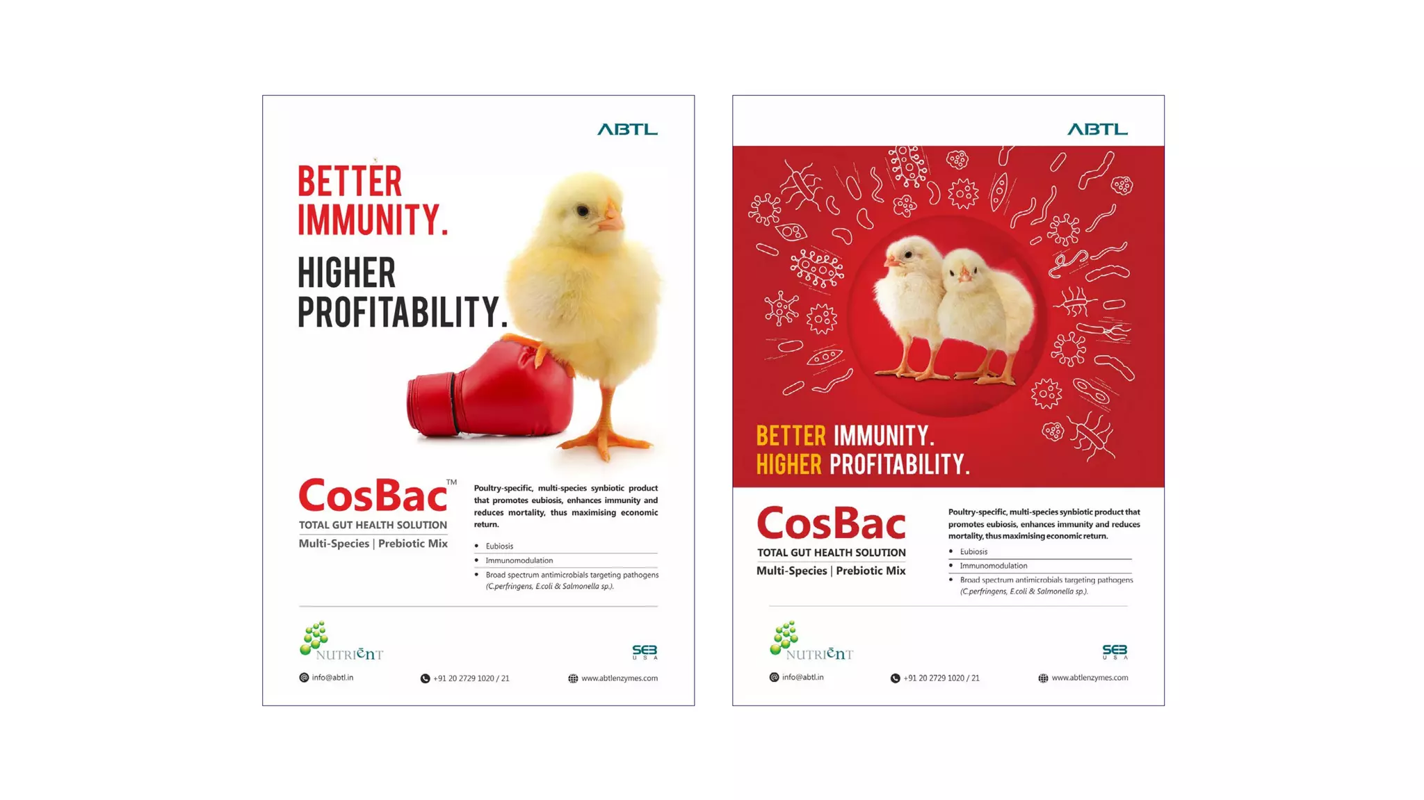 DesignLab Poultry Presentation | PDF